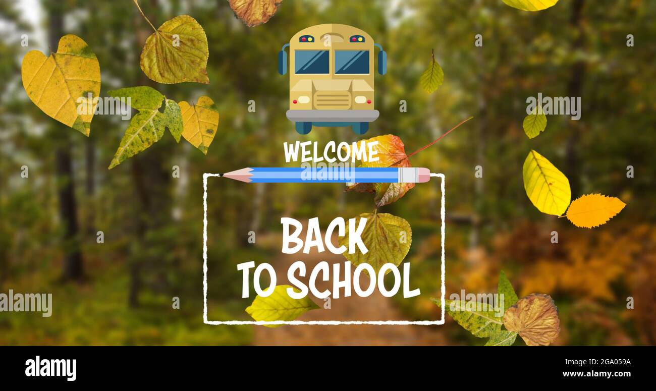Welcome back to school text against forest in background Stock Photo ...