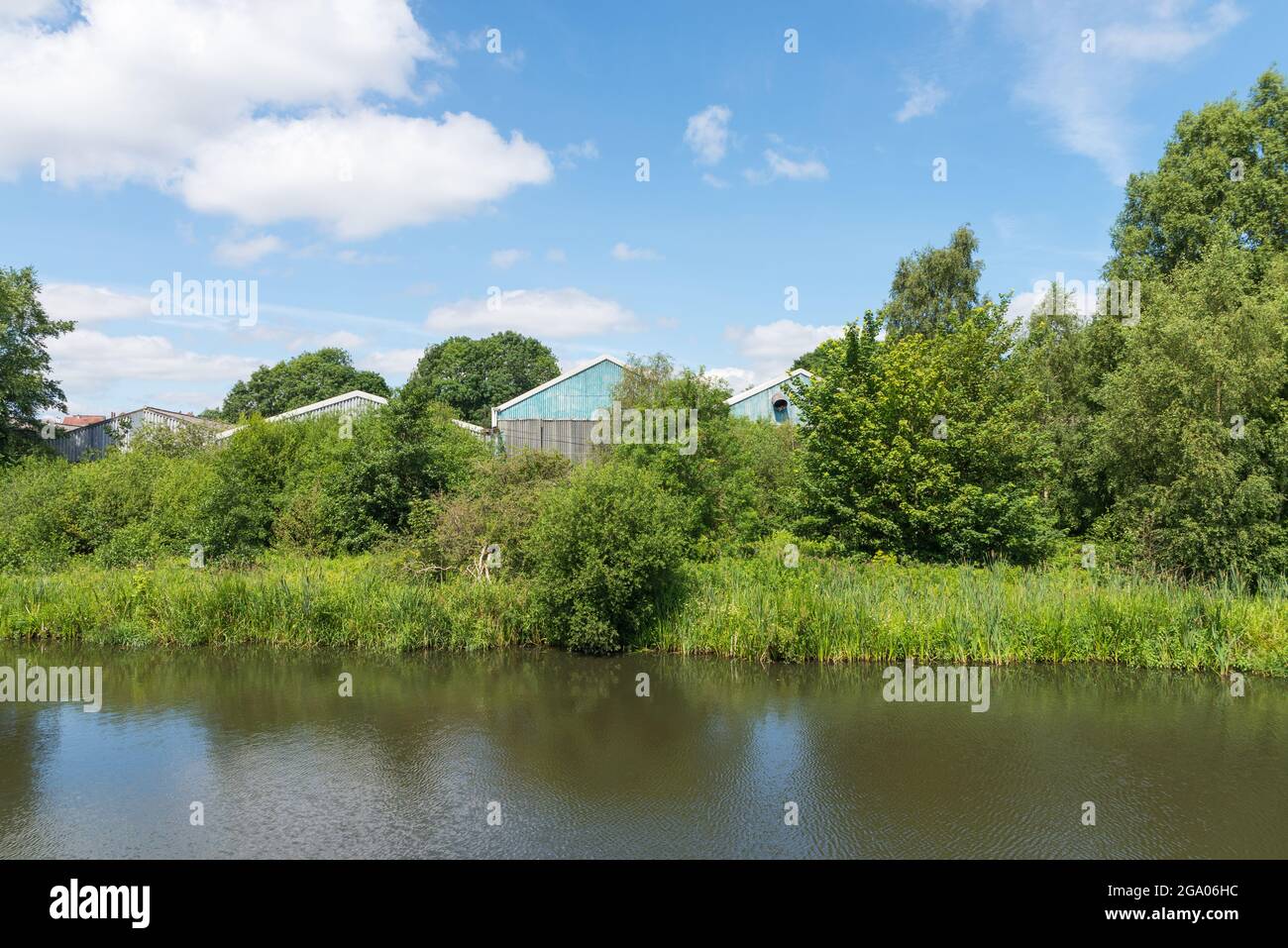 Warrens hall nature reserve hi-res stock photography and images - Alamy