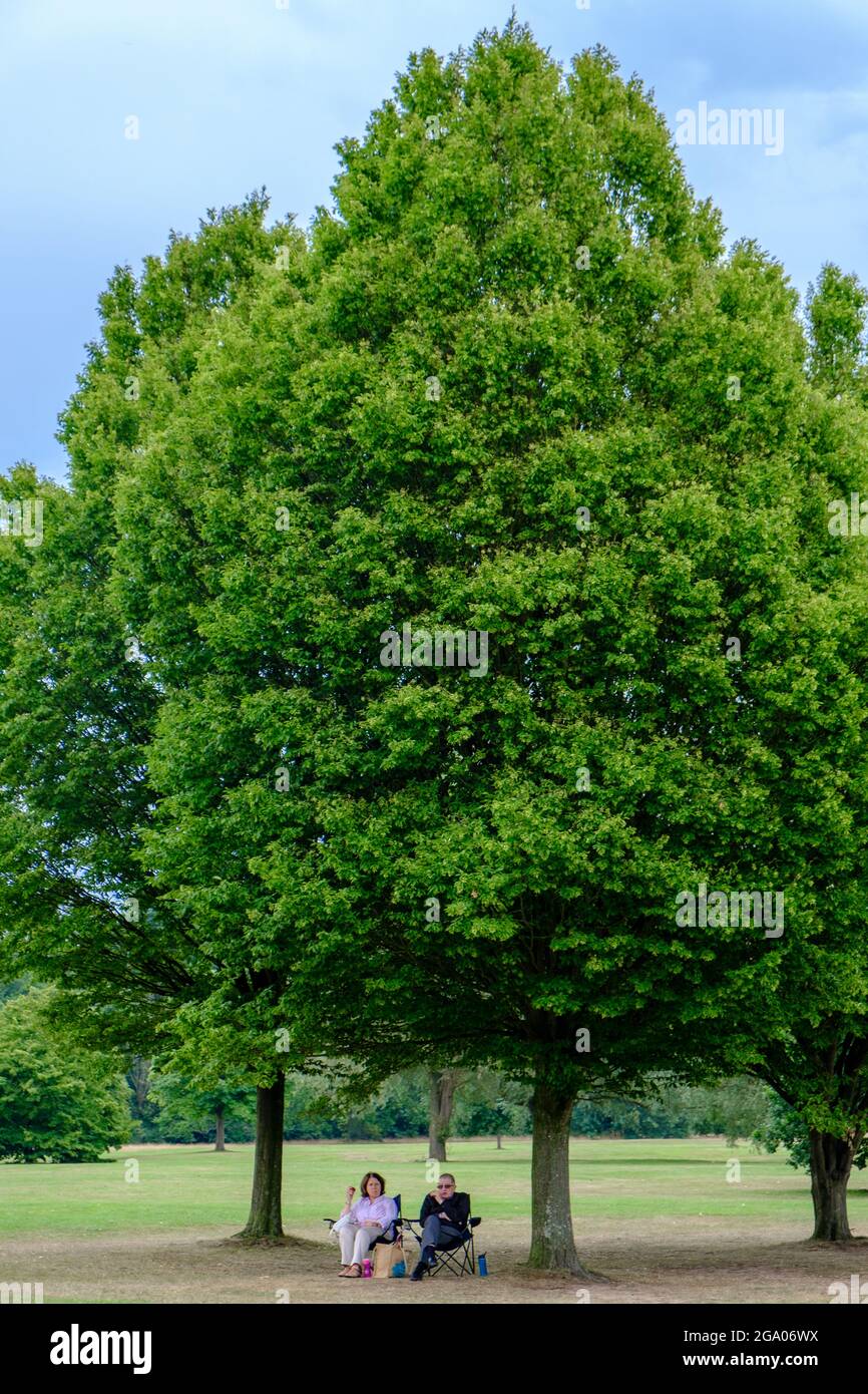 A couple sit under the shade of tall trees at Canons Park, Harrow ...