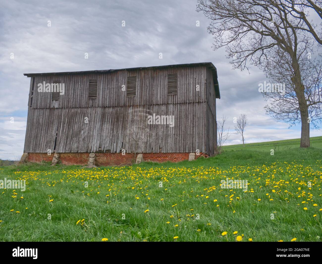 Flowers old barn hi-res stock photography and images - Alamy