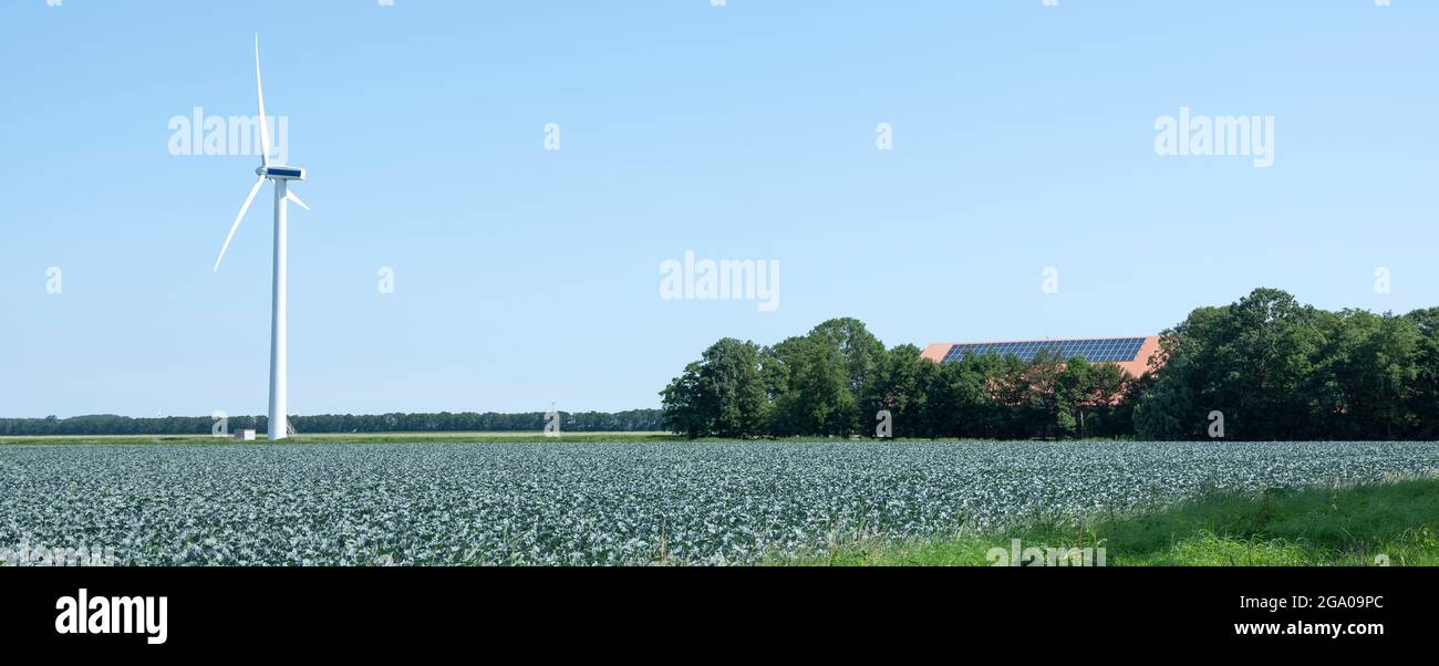 Polder wieringermeer hi-res stock photography and images - Alamy