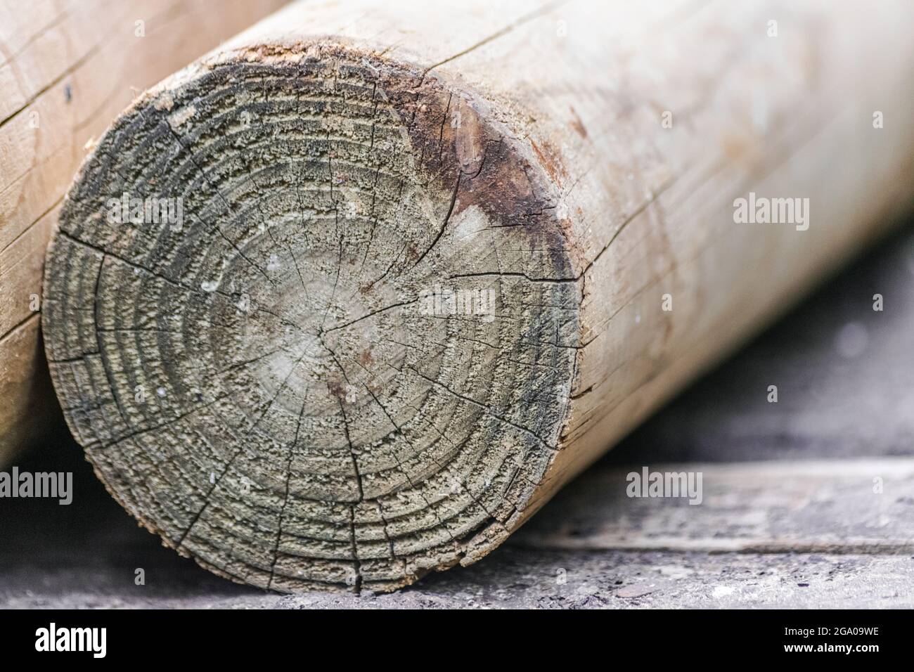 round wooden slat close view Stock Photo - Alamy
