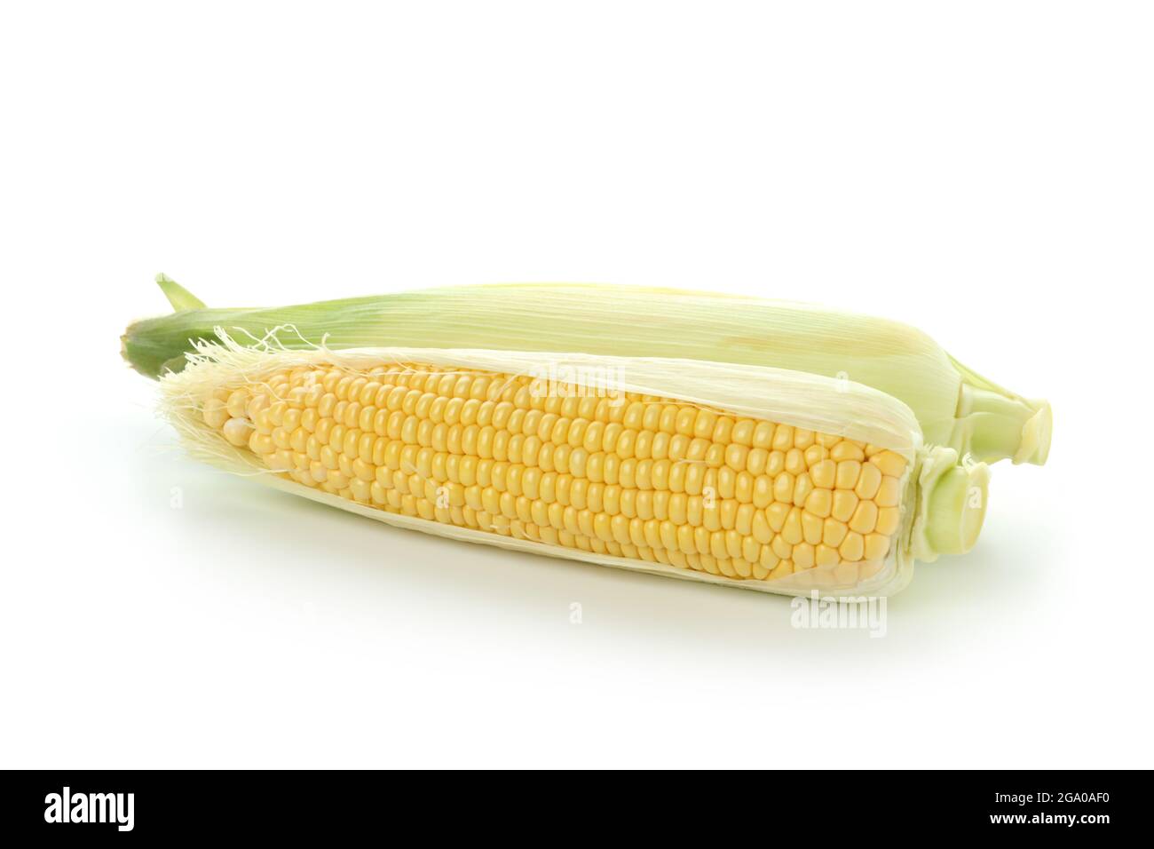 Fresh raw corn isolated on white background Stock Photo - Alamy