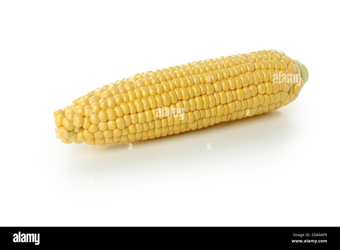 Raw harvest corn Cut Out Stock Images & Pictures - Alamy