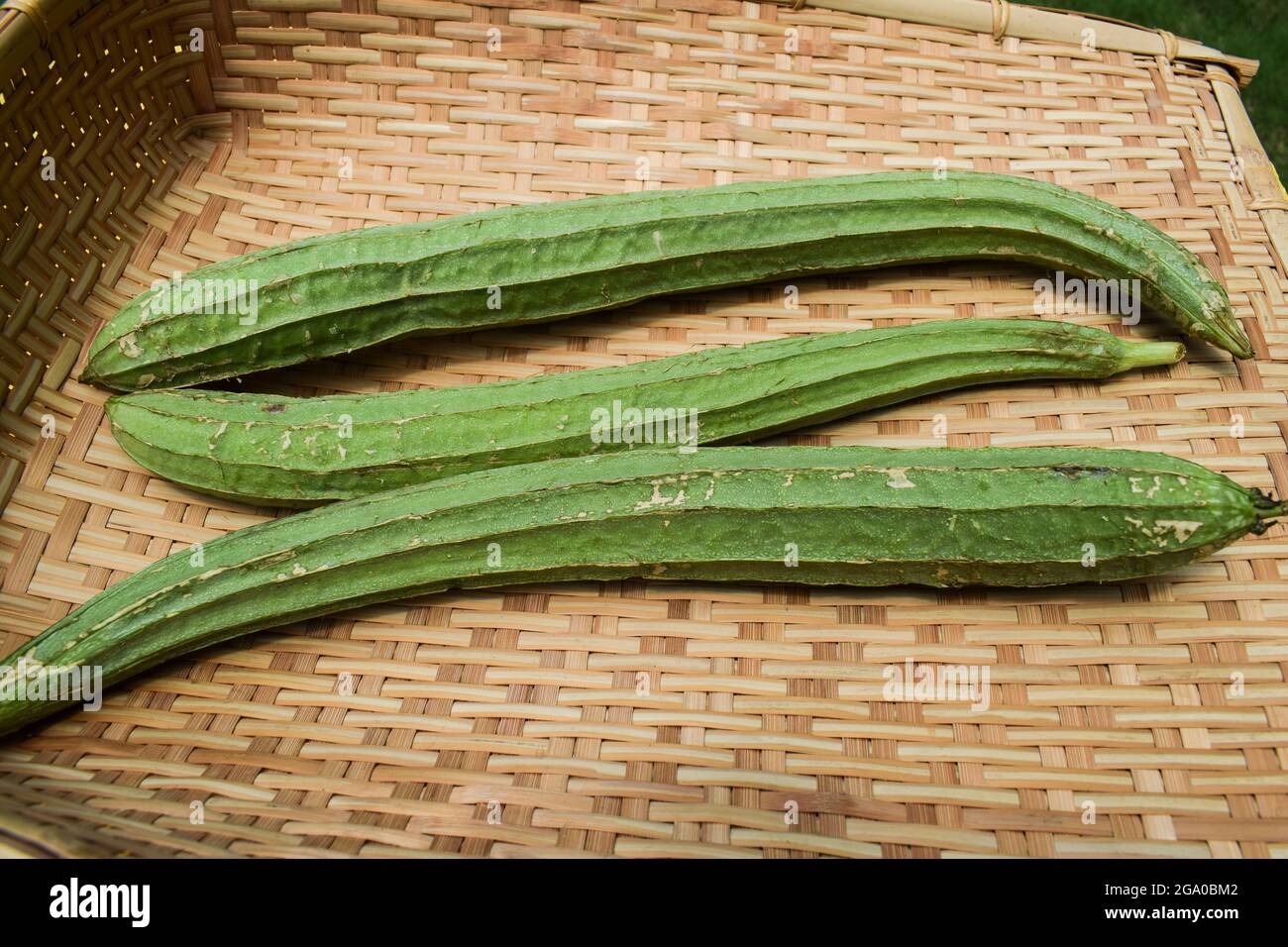 Ridge gourd vegetables long and thin on yellow background. Indian or ...
