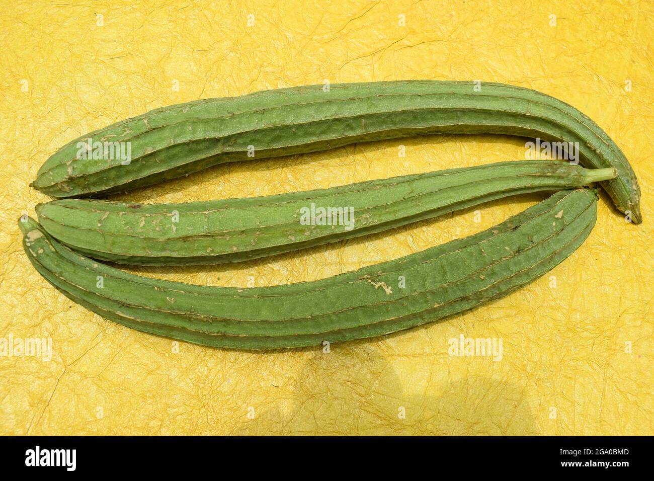 Ridge gourd vegetables long and thin on yellow background. Indian or ...