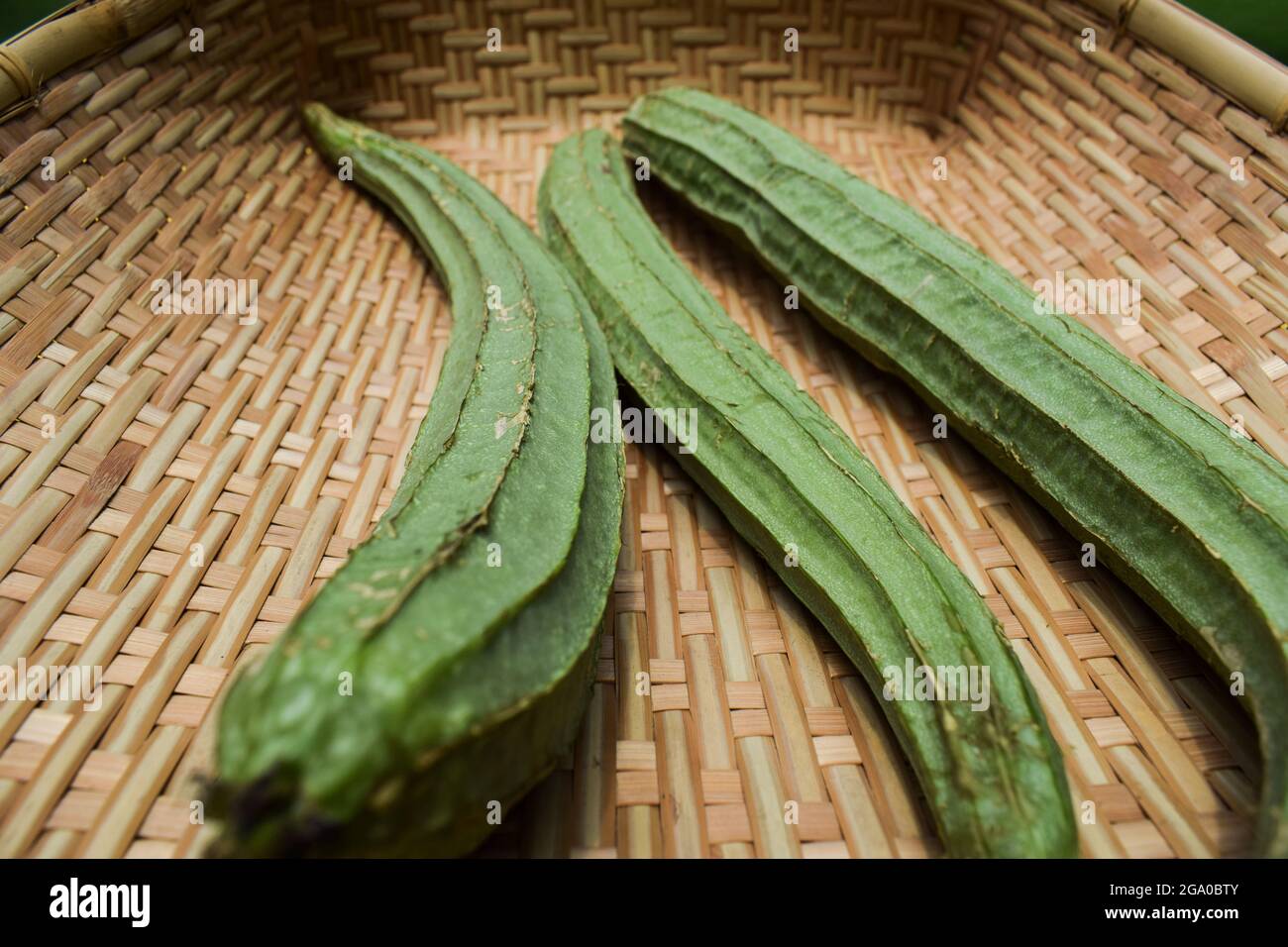 Ridge gourd vegetables long and thin on yellow background. Indian or ...