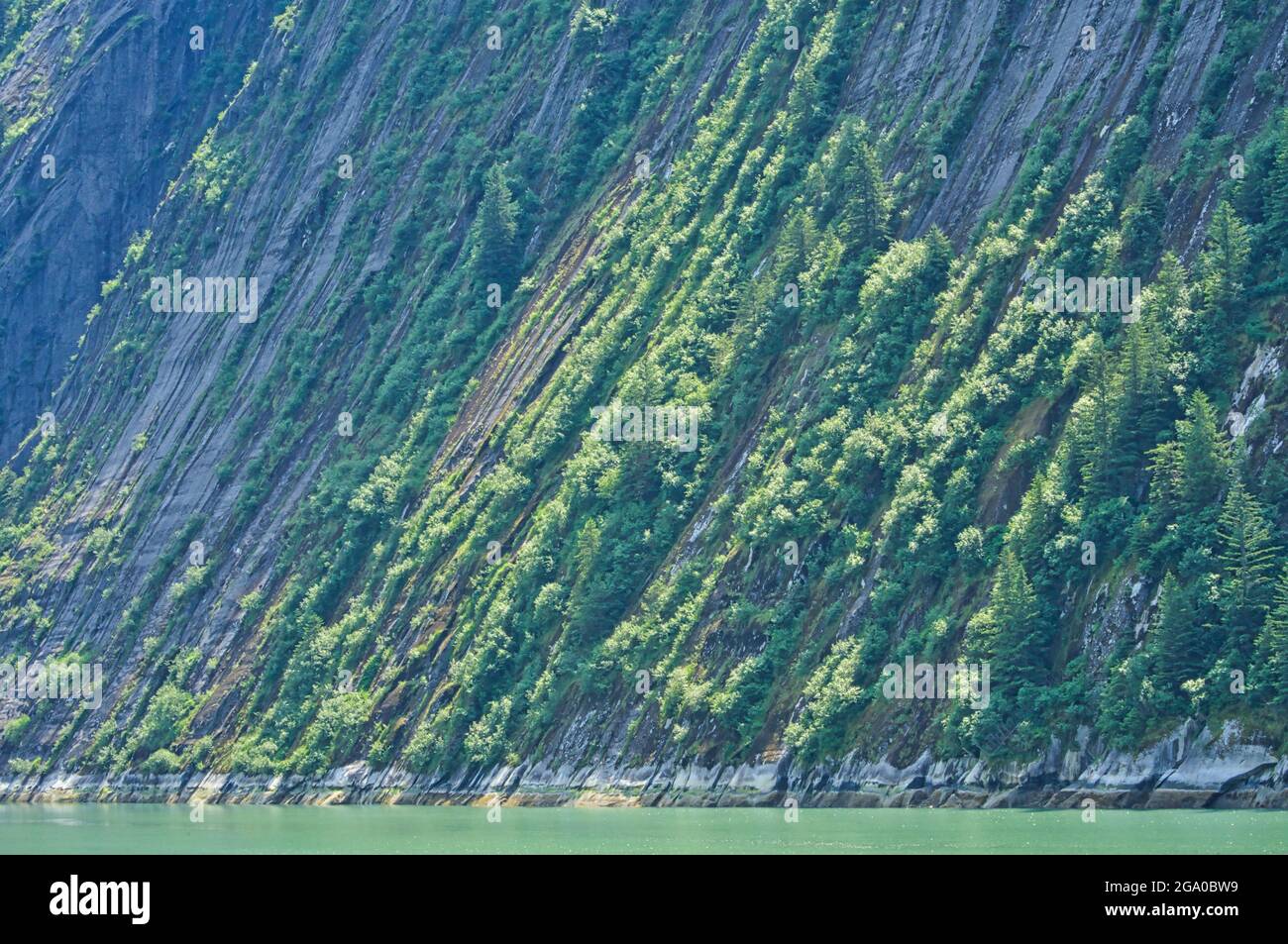 Green plants cover the rock walls of the mountain. The fjords of Alaska ...
