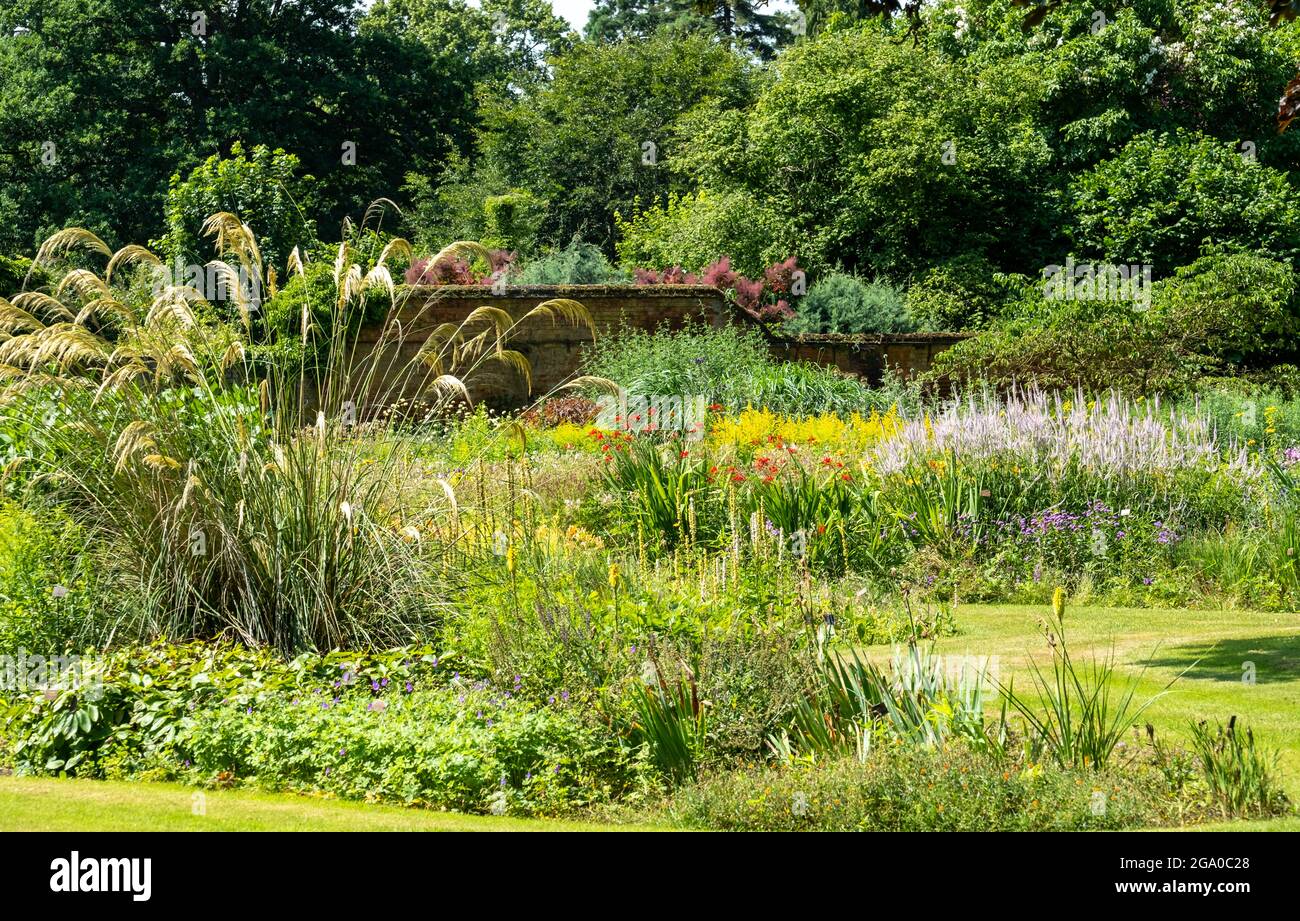 Bressingham Gardens near Diss in Norfolk. Colourful garden influenced ...