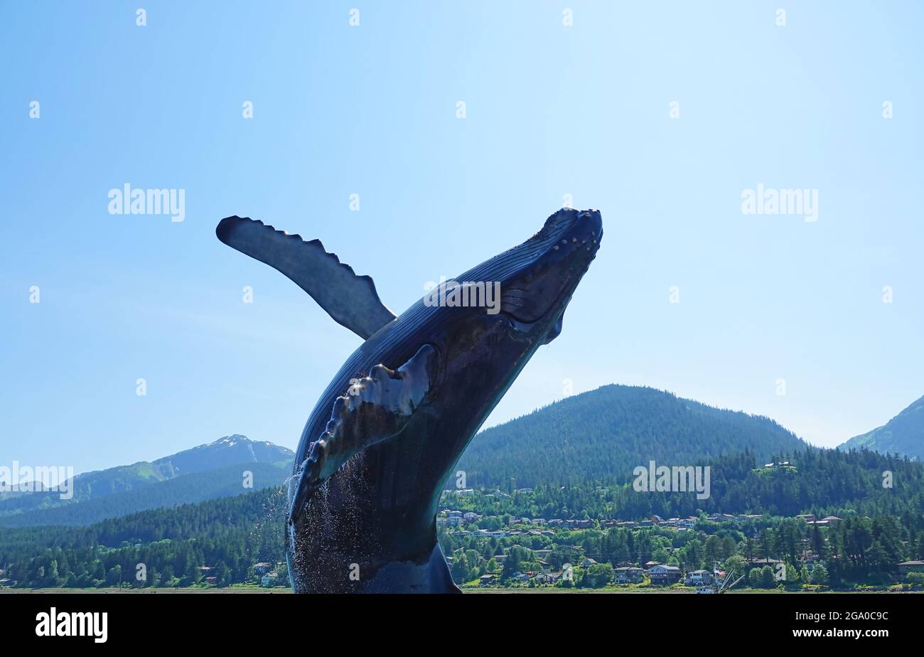 The whale statue is a pose of jumping out of the sea. Whale Statue in ...