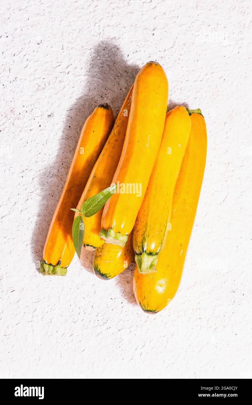 Fresh orange zucchini. Ripe vegetables harvest. Trendy hard light, dark ...