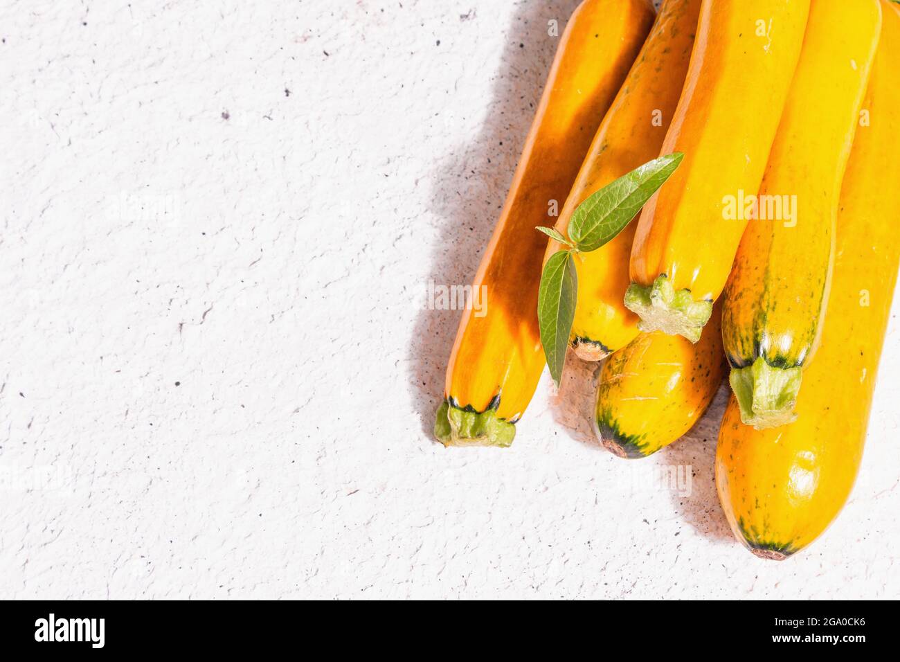 Fresh orange zucchini. Ripe vegetables harvest. Trendy hard light, dark ...