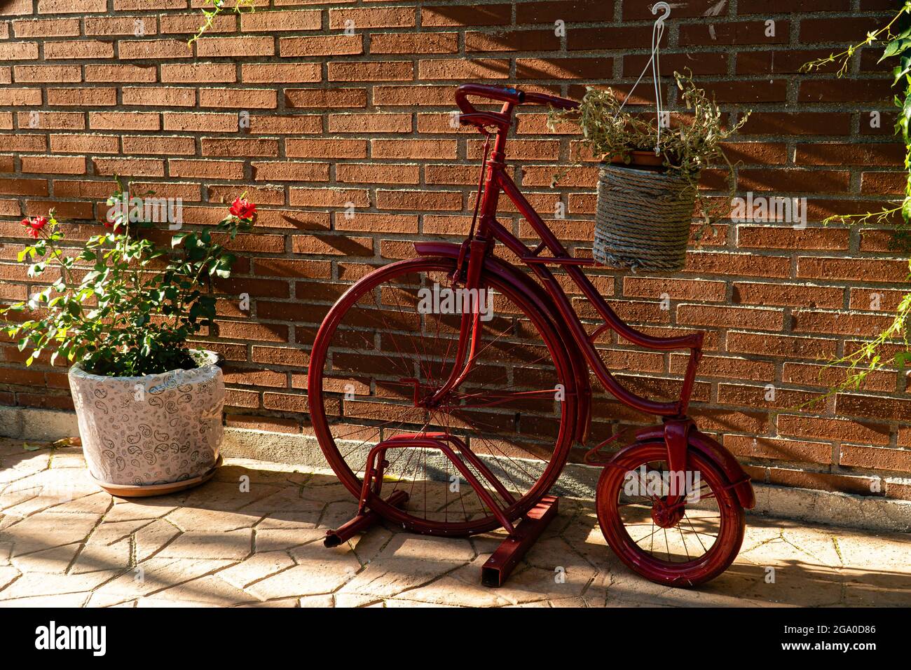Decorative bicycle for plants against a brick wall Stock Photo - Alamy