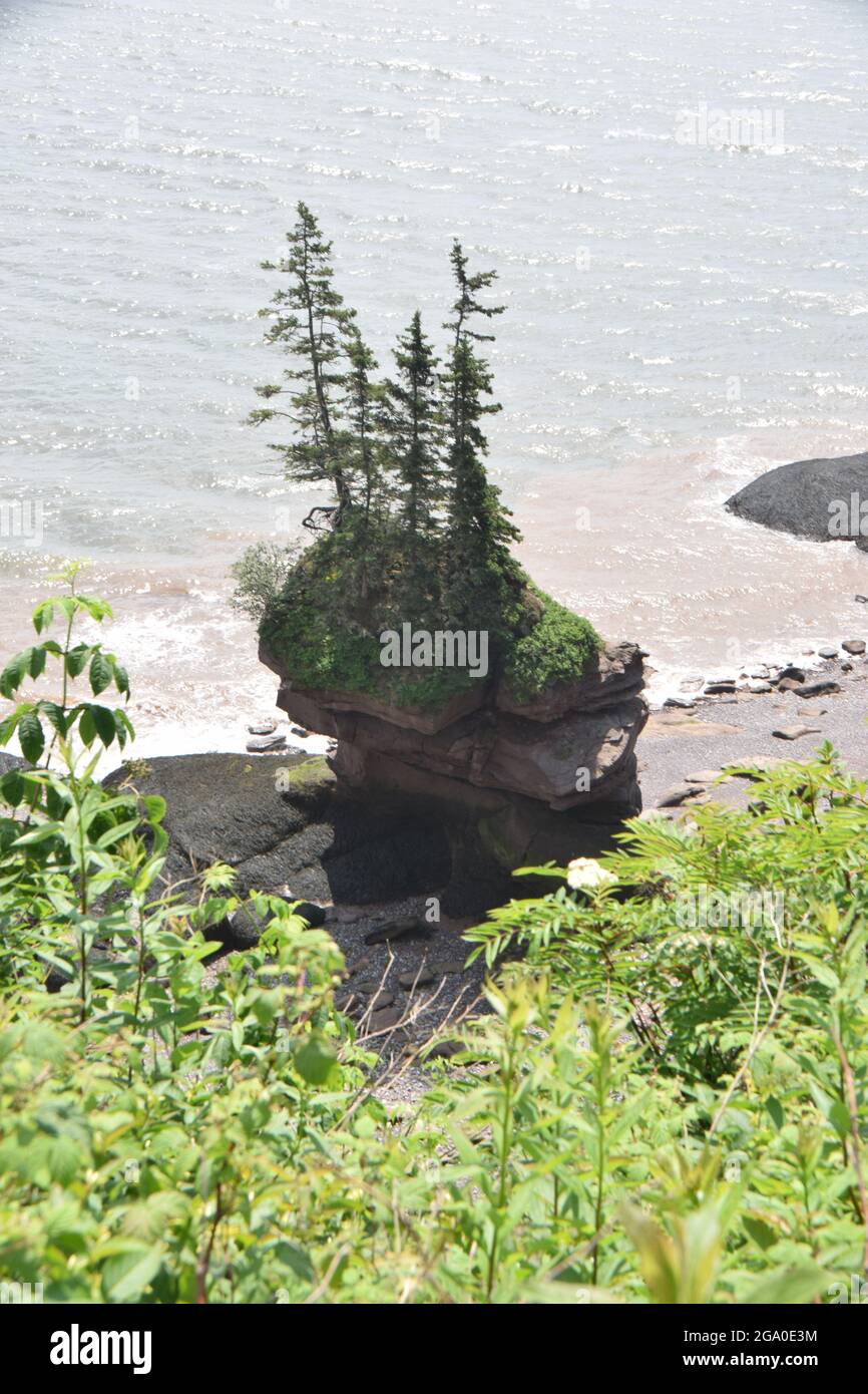 Flower Pot Rock on the Fundy Trail New Brunswick Stock Photo - Alamy