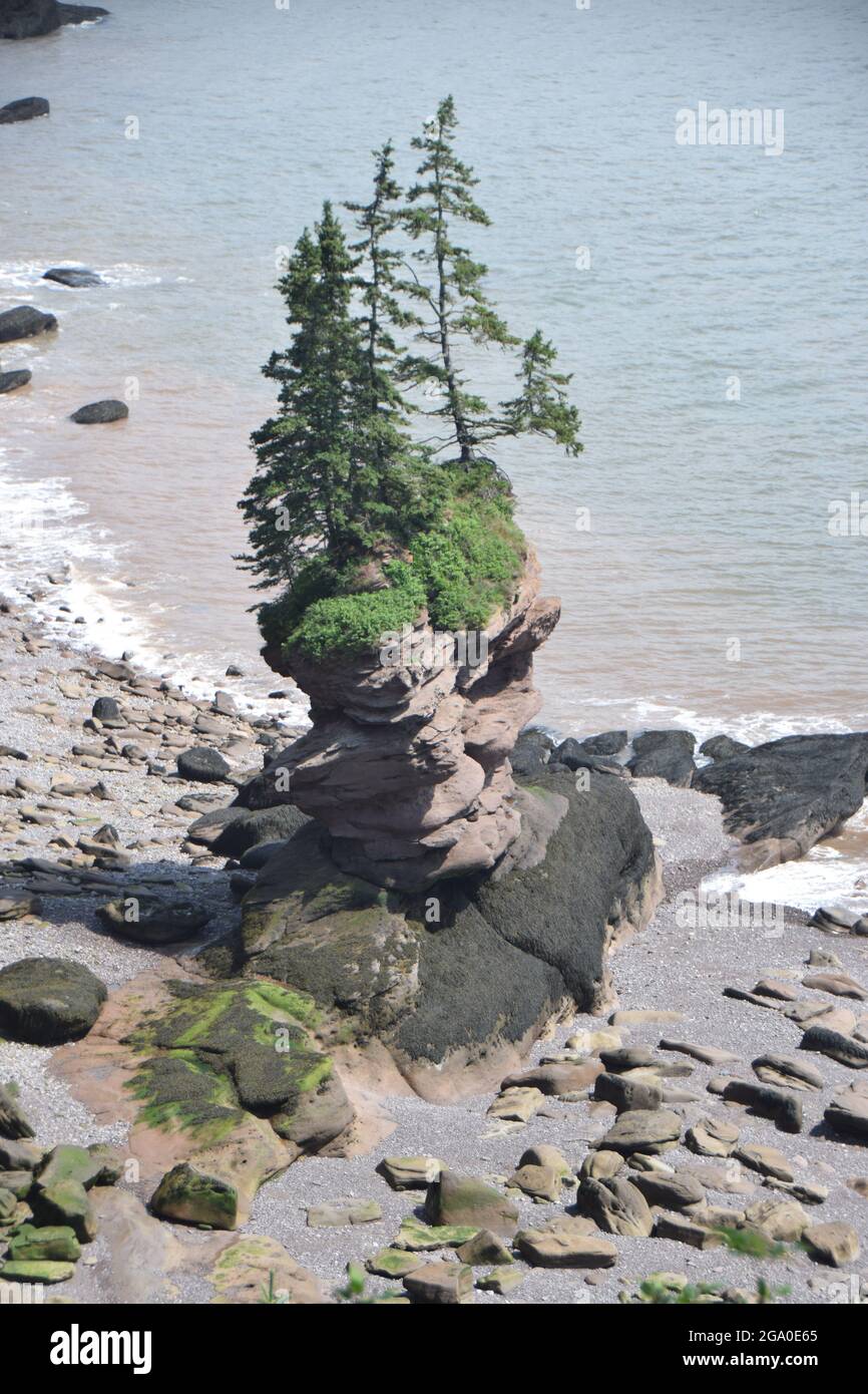 Fundy trail hi-res stock photography and images - Alamy