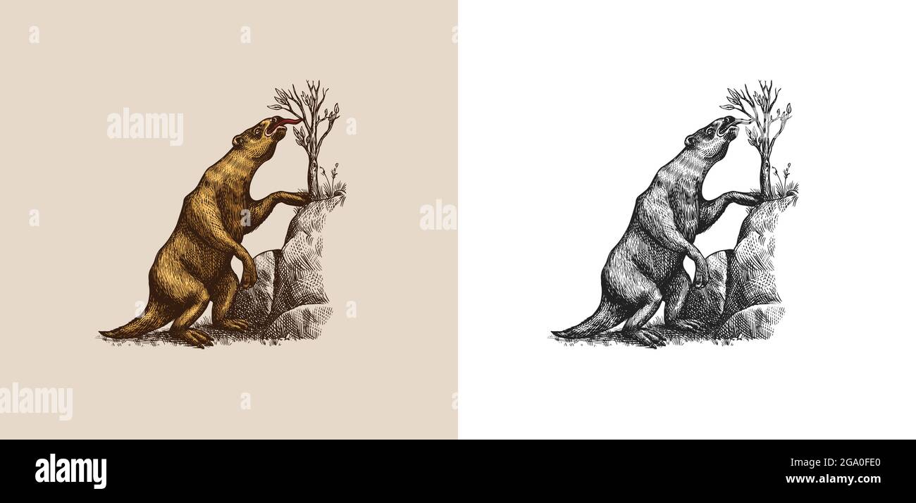 Ground sloth or Megatheriidae. Prehistoric mammals. Extinct animal ...