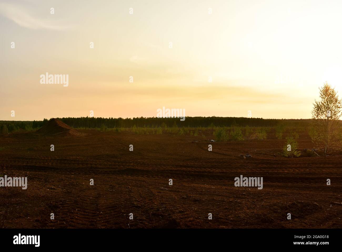 Landscape on peatlands where being development of the peat on sunset ...