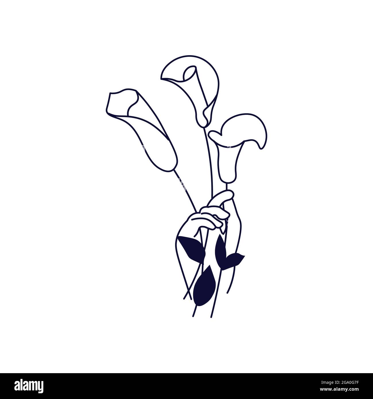 Hand holding bouquet of blooming flowers to gift. Collection of floral ...