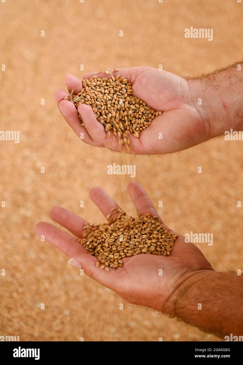 Matthias mehl hi-res stock photography and images - Alamy