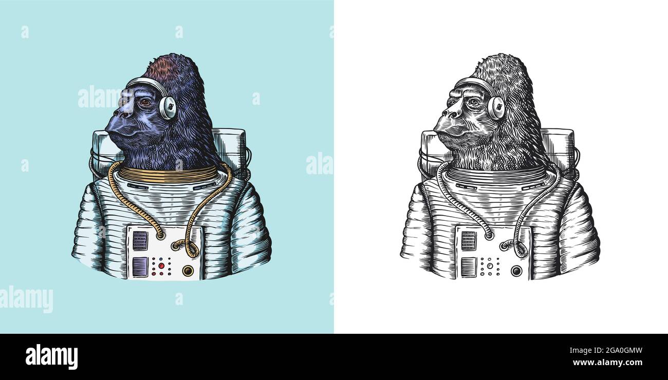 Gorilla astronaut character. Monkey spaceman cosmonaut. Fashionable ...