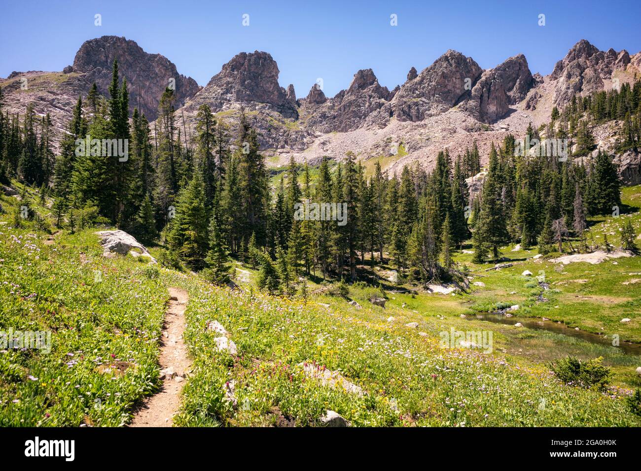 Wilderness photos hi-res stock photography and images - Alamy