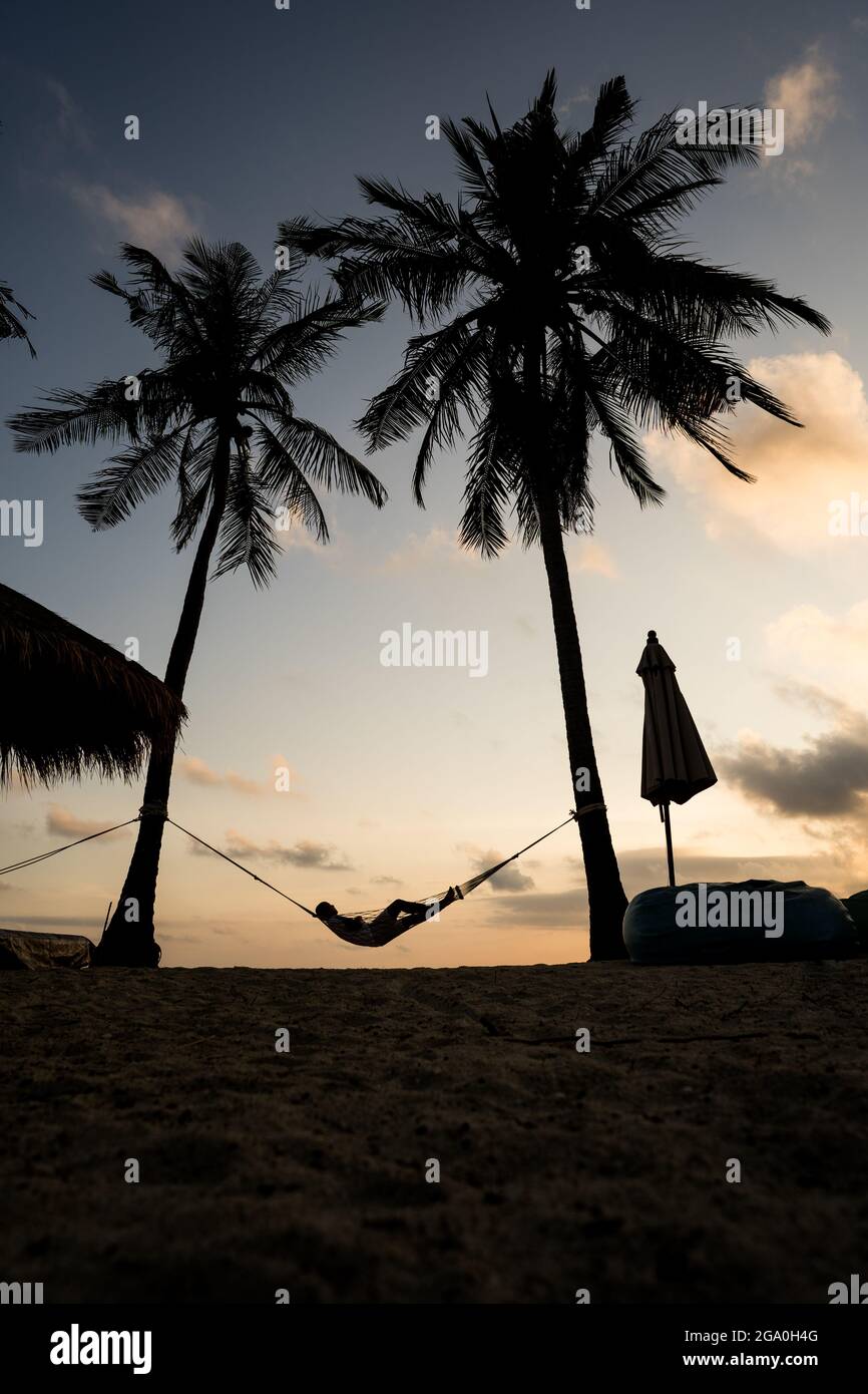 Vertical shot of a man resting under the palm trees on a seashore Stock ...