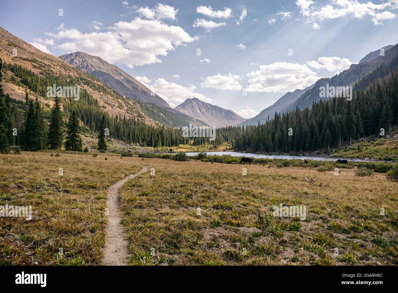 Hiking Trail in the Colorado Wilderness Stock Photo - Alamy