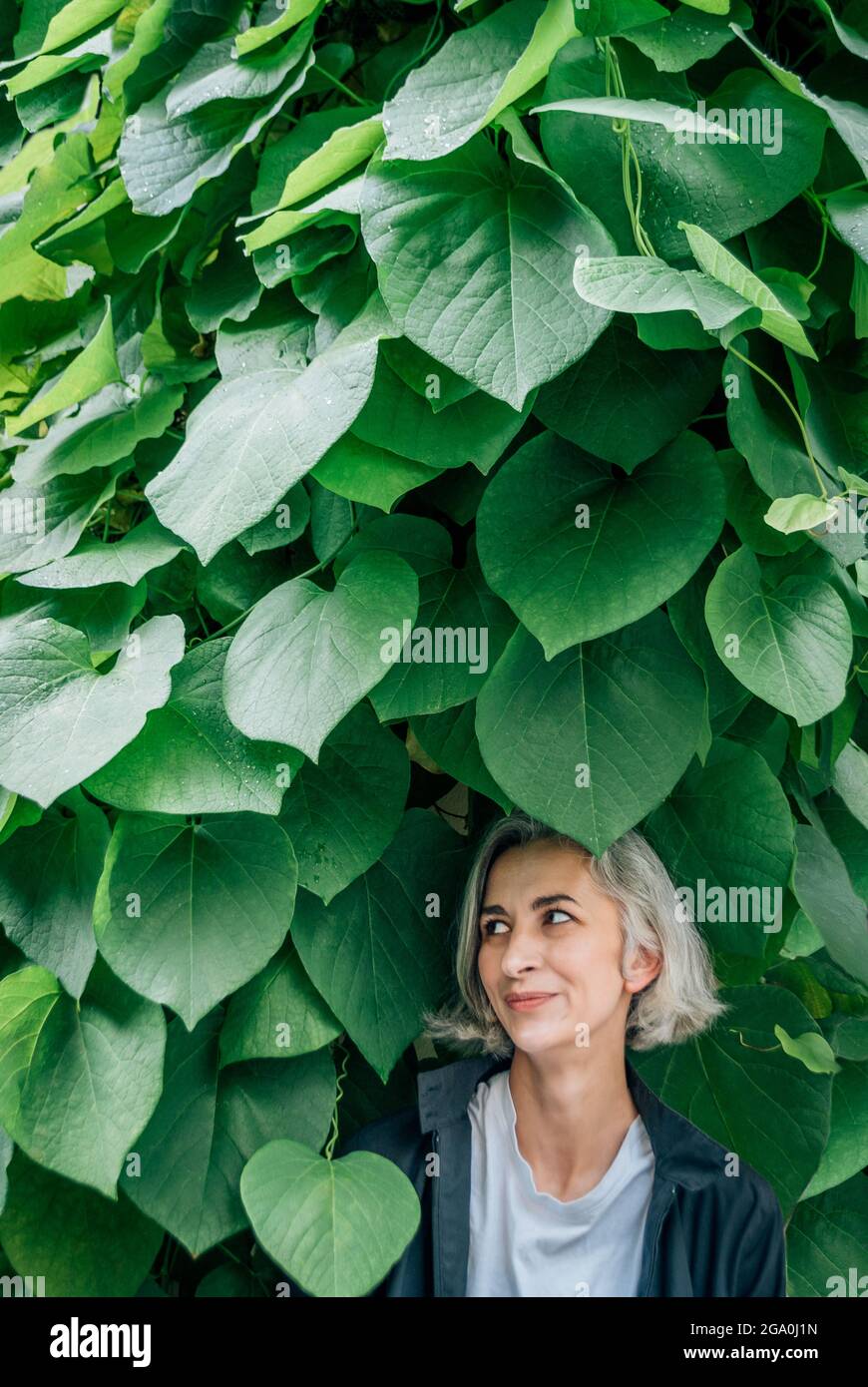 Woman smiles and looks up against the wall of large-leaf ivy Stock ...