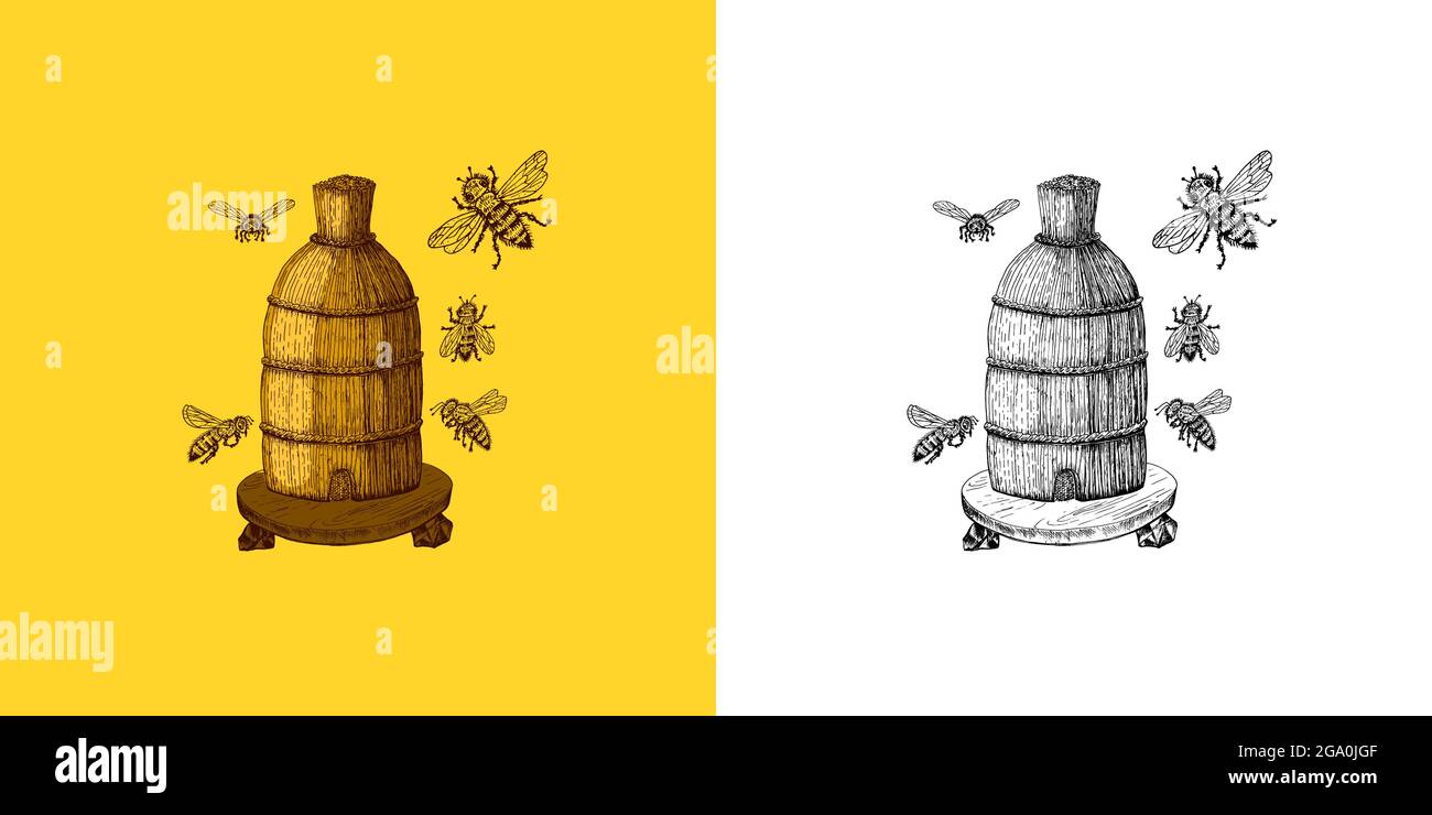Vintage Beehive Drawing Digital Beehive Honey Bees In Floral Wreath