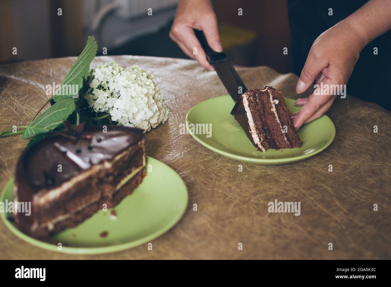 Woman cutting birthday cake hi-res stock photography and images - Alamy