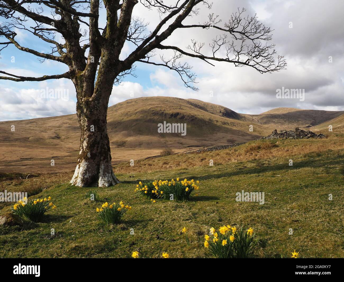 Woodhead hi-res stock photography and images - Alamy