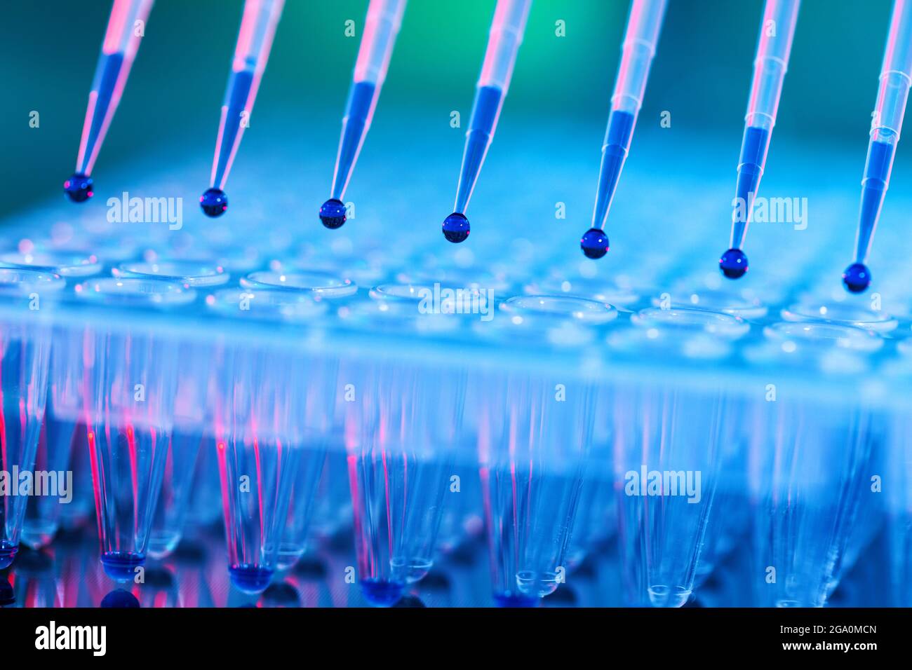 Pipette and test tubes in a microbiological laboratory Stock Photo - Alamy