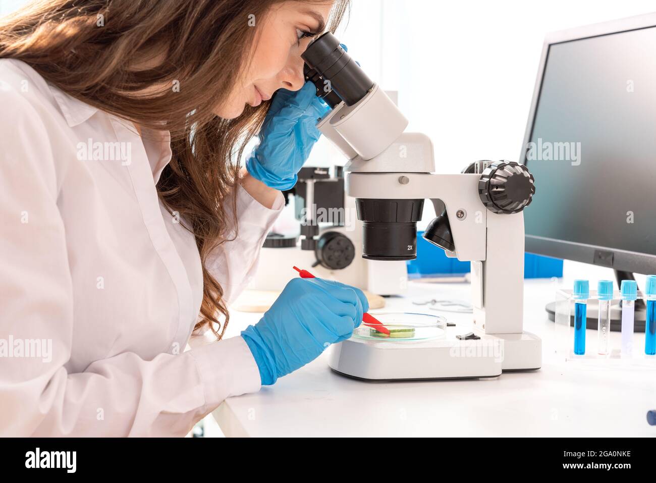 Inspection of the quality of vegetables and fruits in the laboratory of ...
