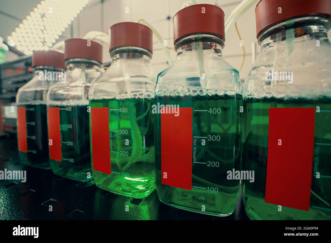 Experimental setup for enzymatic synthesis by genetically modified ...