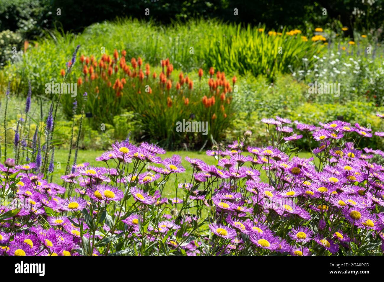 Drifts of grass garden hi-res stock photography and images - Alamy