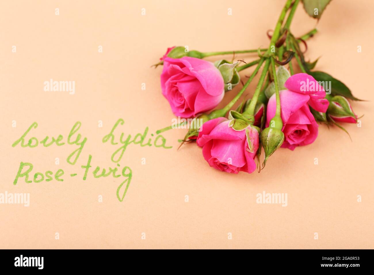 Beautiful rosy twig with inscription on paper background Stock Photo ...