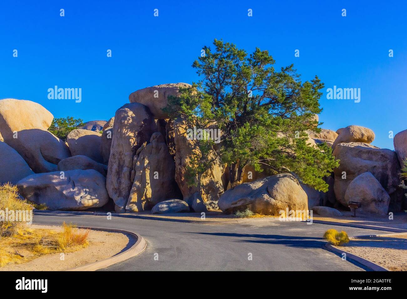 Joshua Tree National Park, Southern California Stock Photo - Alamy