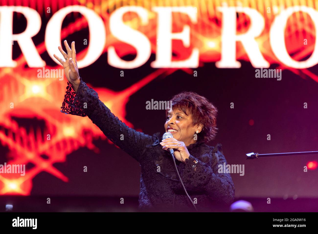 Rose norwalt hi-res stock photography and images - Alamy