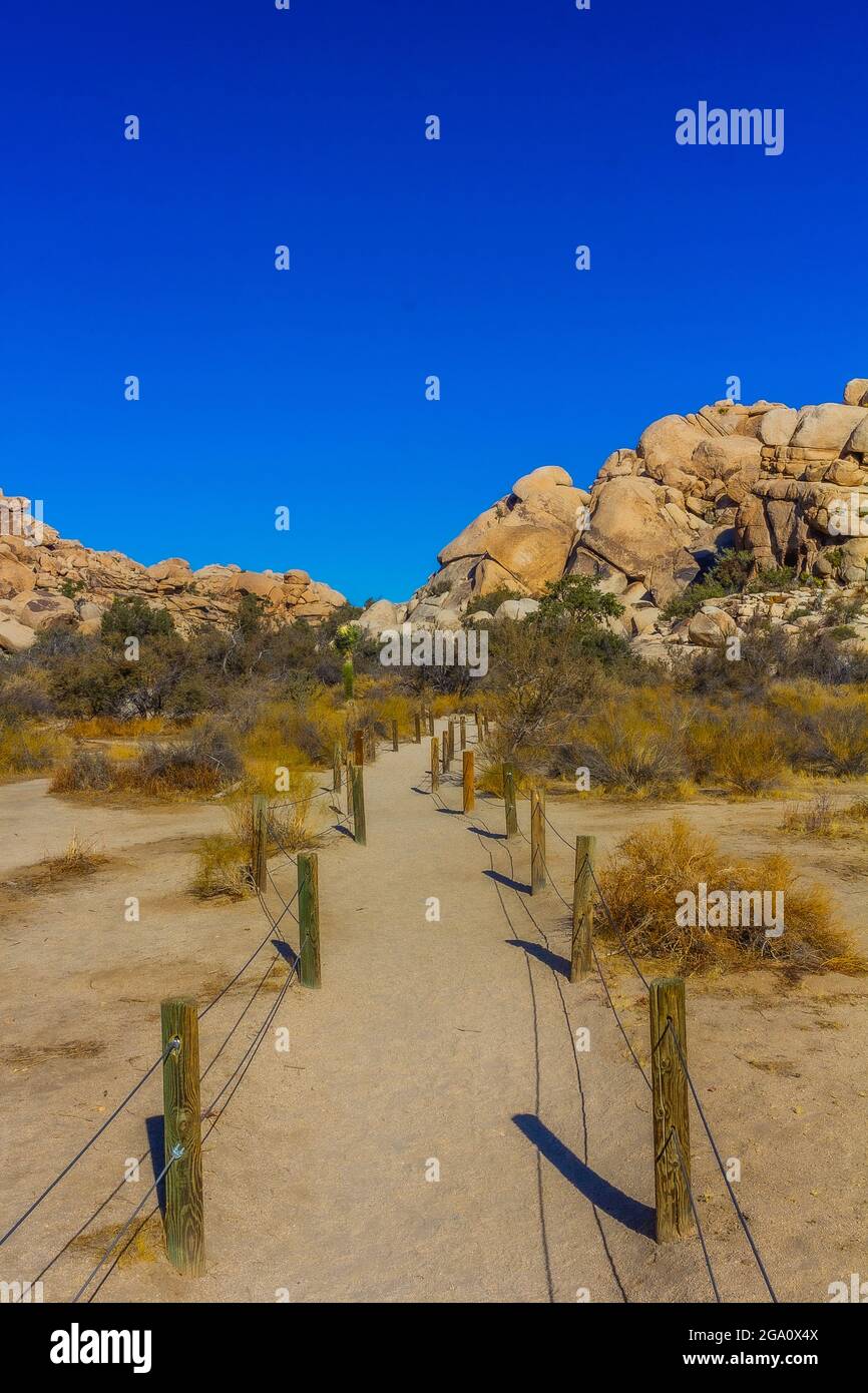 Joshua Tree National Park, Southern California Stock Photo - Alamy