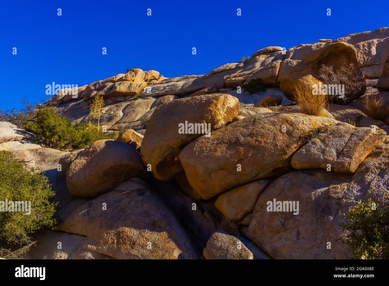 Joshua Tree National Park, Southern California Stock Photo - Alamy