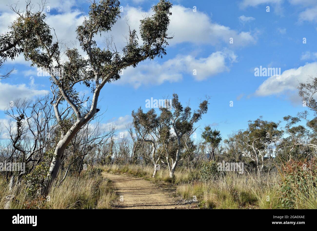Hanging Rock Walking Track Stock Photo - Alamy