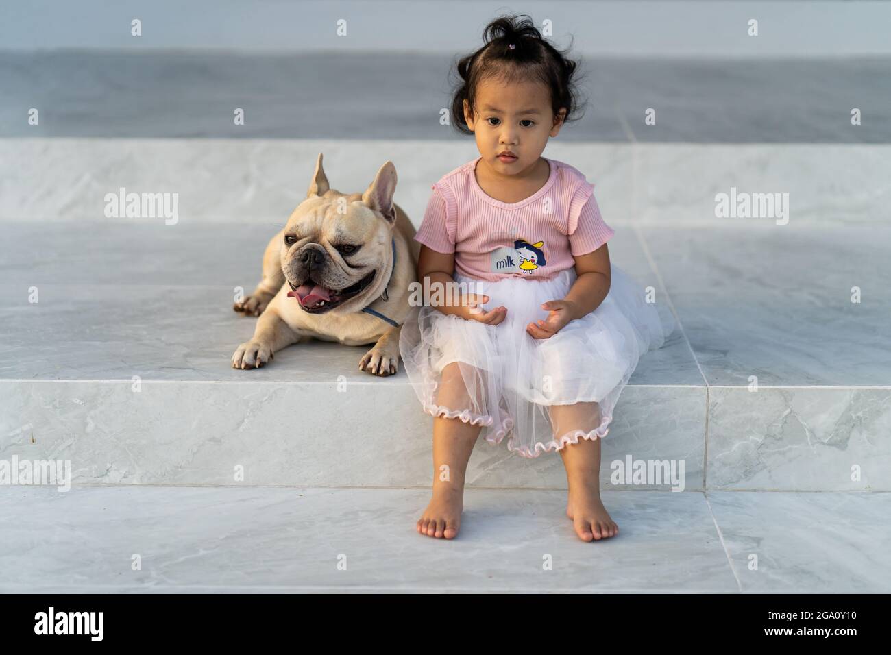 Cute Asian female child and her pet French Bulldog Stock Photo - Alamy