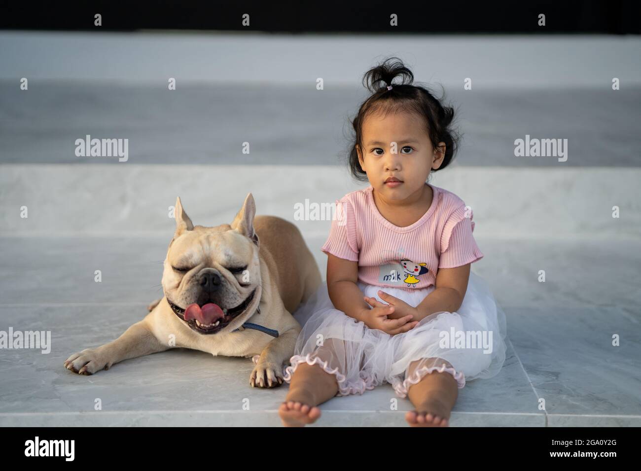 Cute Asian female child and her pet French Bulldog Stock Photo - Alamy