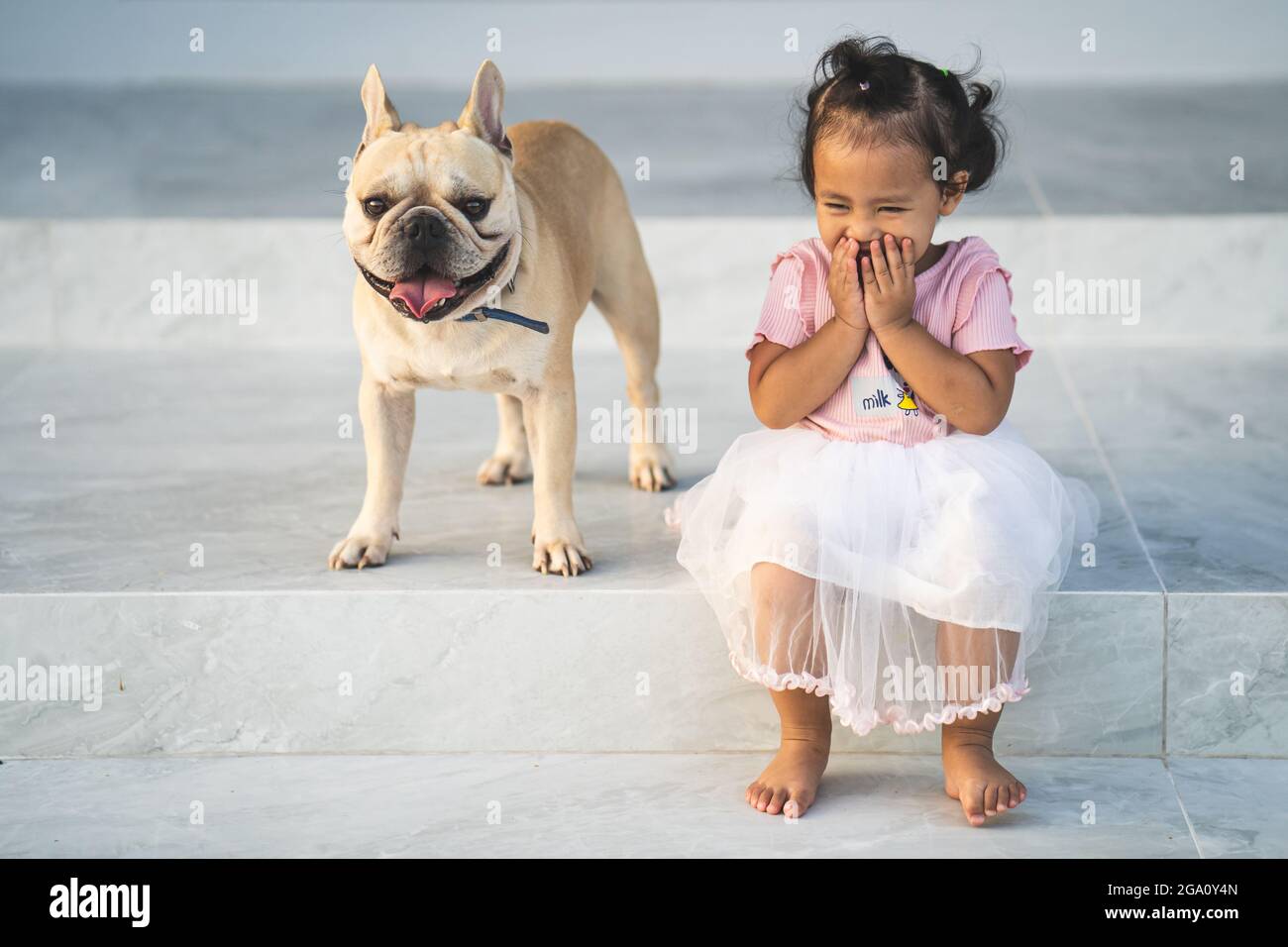 Cute Asian female child and her pet French Bulldog Stock Photo - Alamy