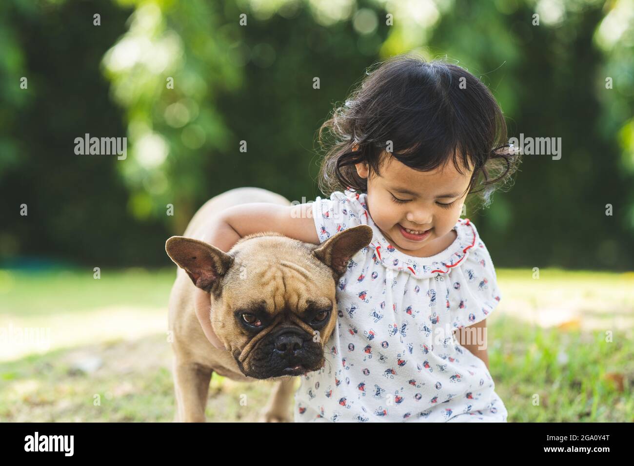 Cute Asian female child and her pet French Bulldog Stock Photo - Alamy