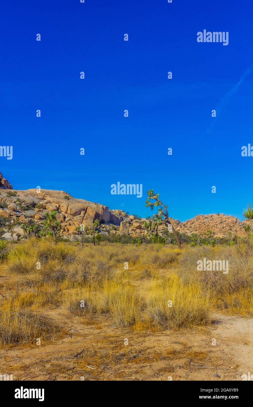 Joshua Tree National Park, Southern California Stock Photo - Alamy