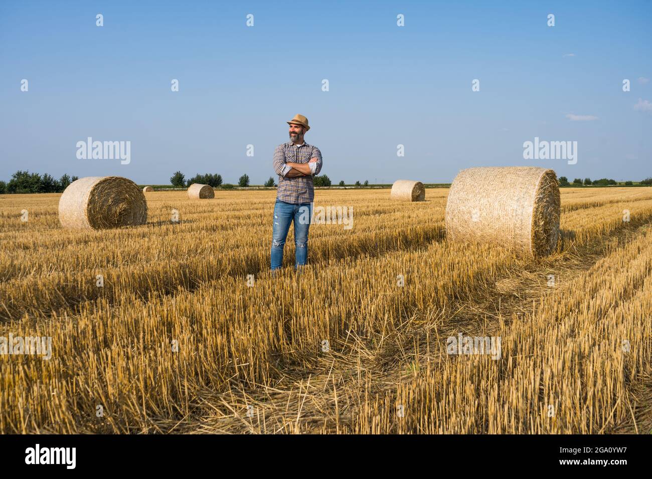 Happy farmer is standing beside bales of hay. He is satisfied because ...