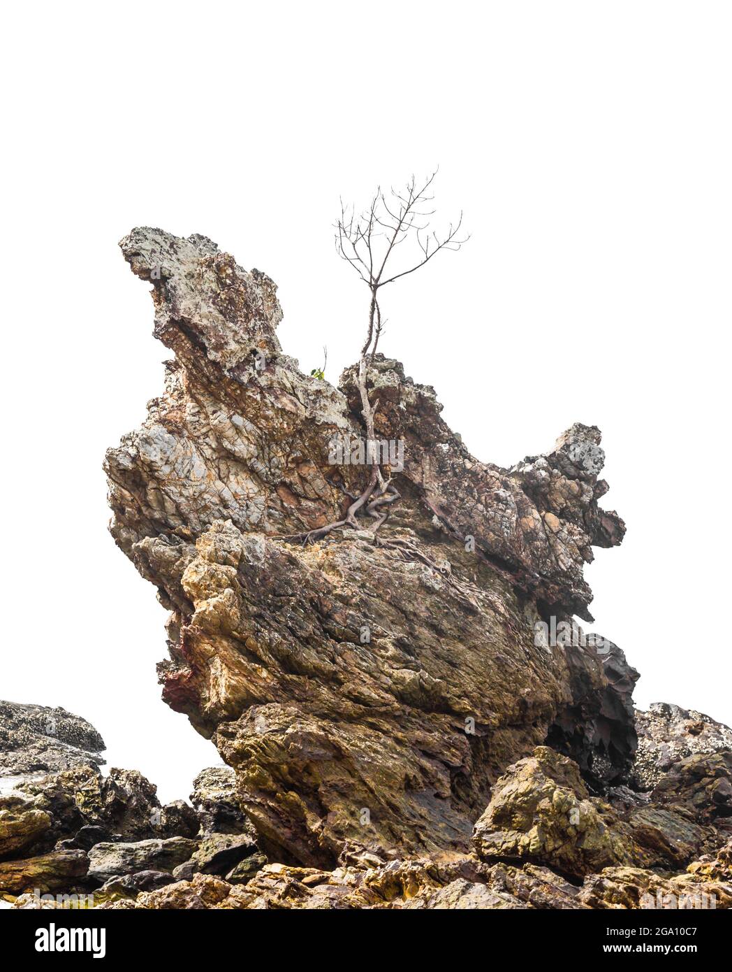 The large rocks beach isolated on white background Stock Photo - Alamy