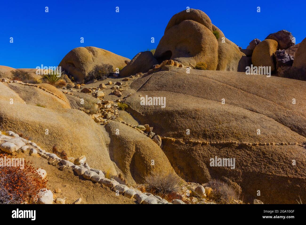 Joshua Tree National Park, Southern California Stock Photo - Alamy
