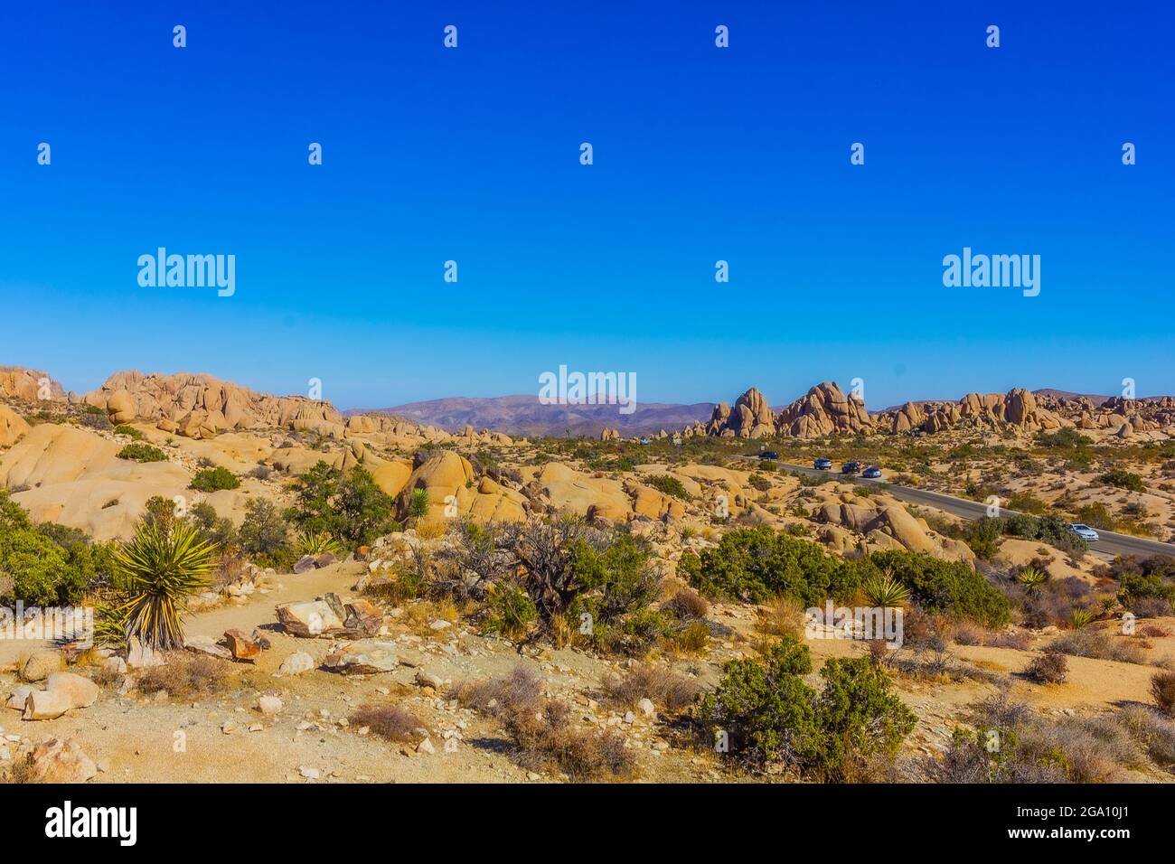 Joshua Tree National Park, Southern California Stock Photo - Alamy